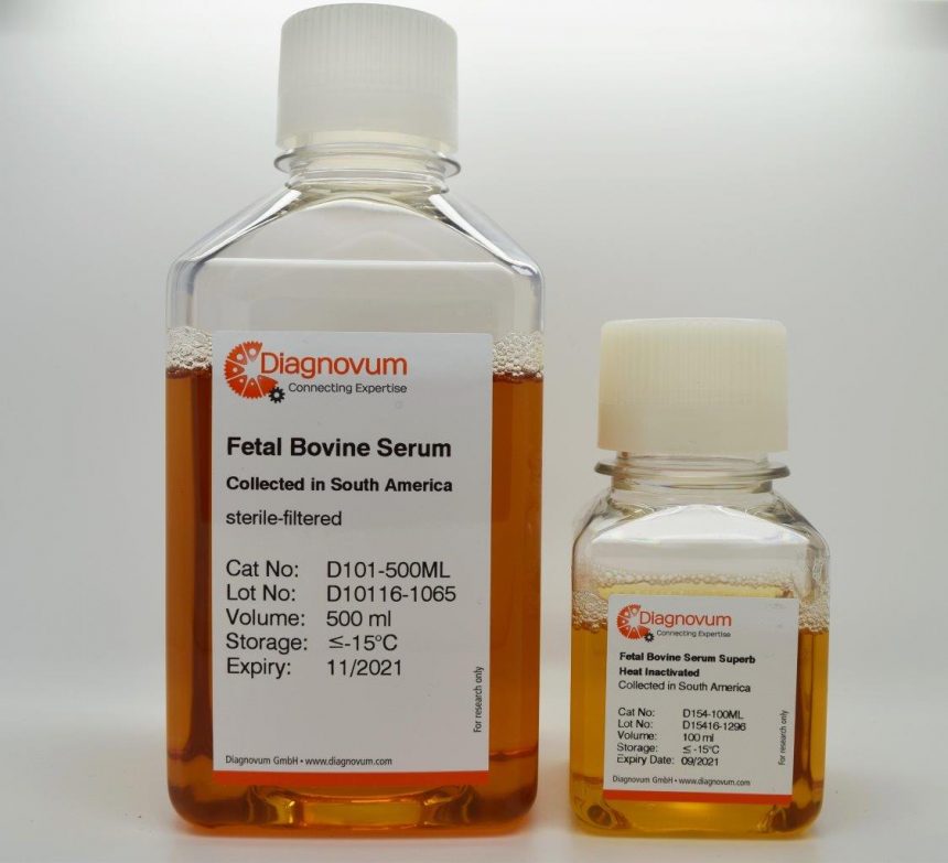 Fetal Bovine Serum (Fetal Bovin Serum) - Genesuz