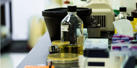 Biochemical Reagents (Biyokimyasal Reaktifler) - Genesuz