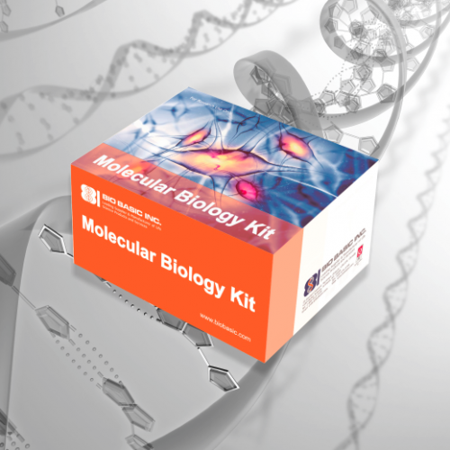 Protein Staining Kits (Protein Boyama Kitleri) - Genesuz